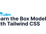 Learn The Box Model With Tailwind Css